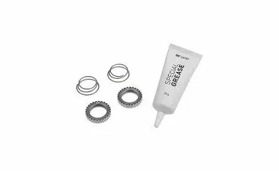 DT SWISS Kit Ratchet 36T SL
